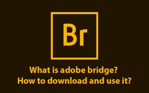 What is Adobe Bridge? How to Download and Use it?